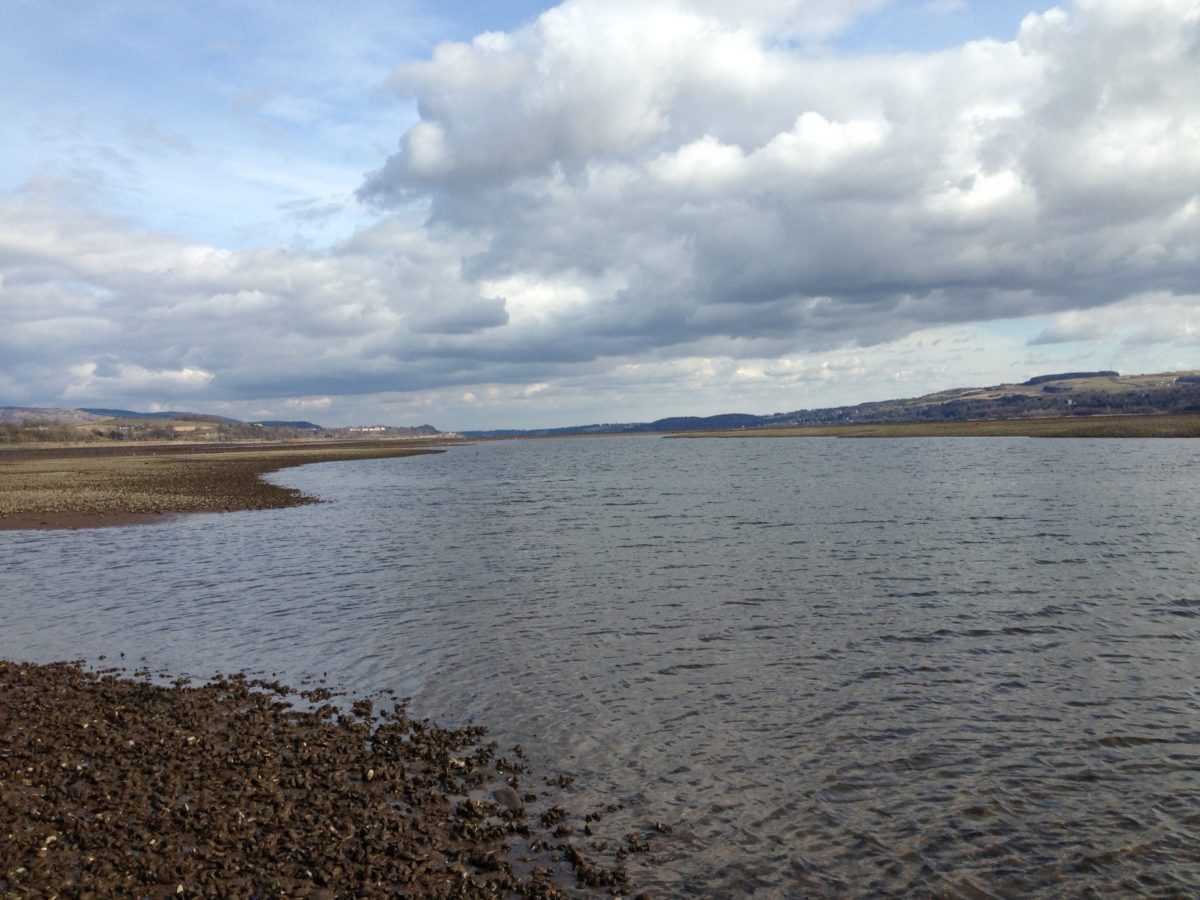 Clyde Estuary – Loch Lomond Angling Improvement Association