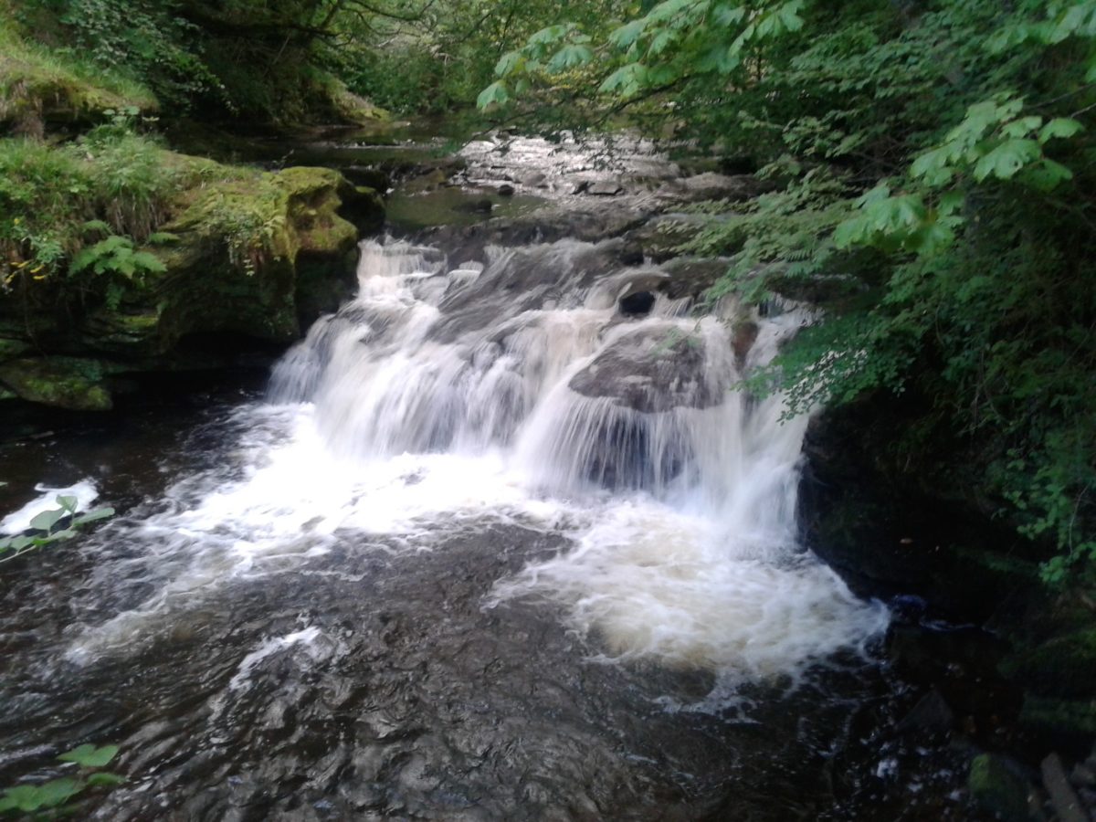Fishing and maps – Loch Lomond Angling Improvement Association