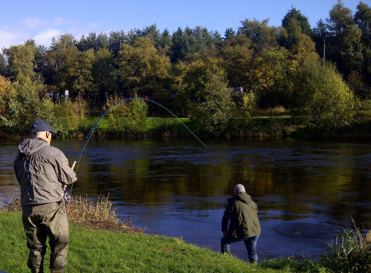 Loch Lomond Angling Improvement Association – Managed by anglers, for ...