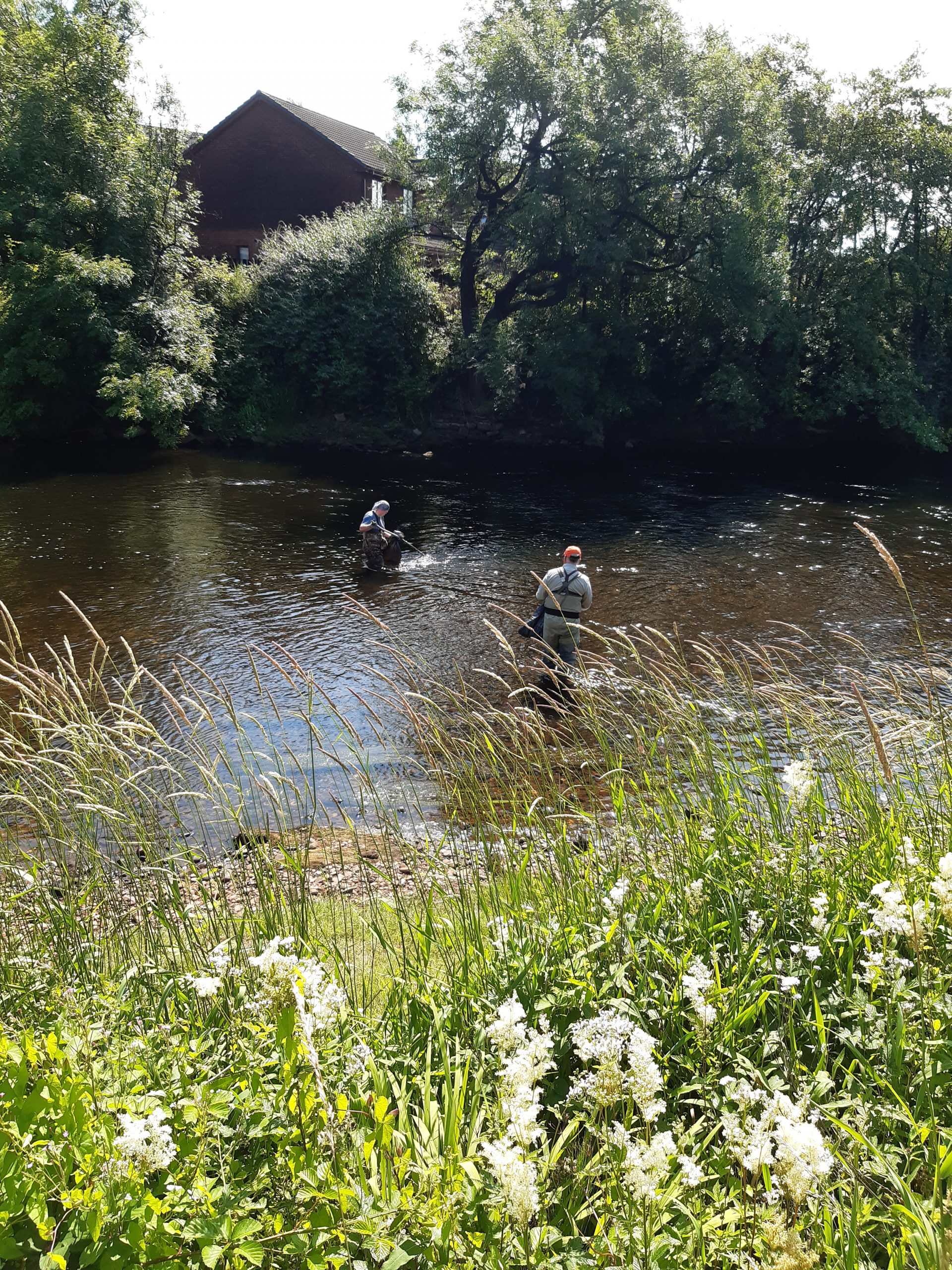 Annual River Leven Voluntary Clean up 17th & 18th July 2021 – Loch ...