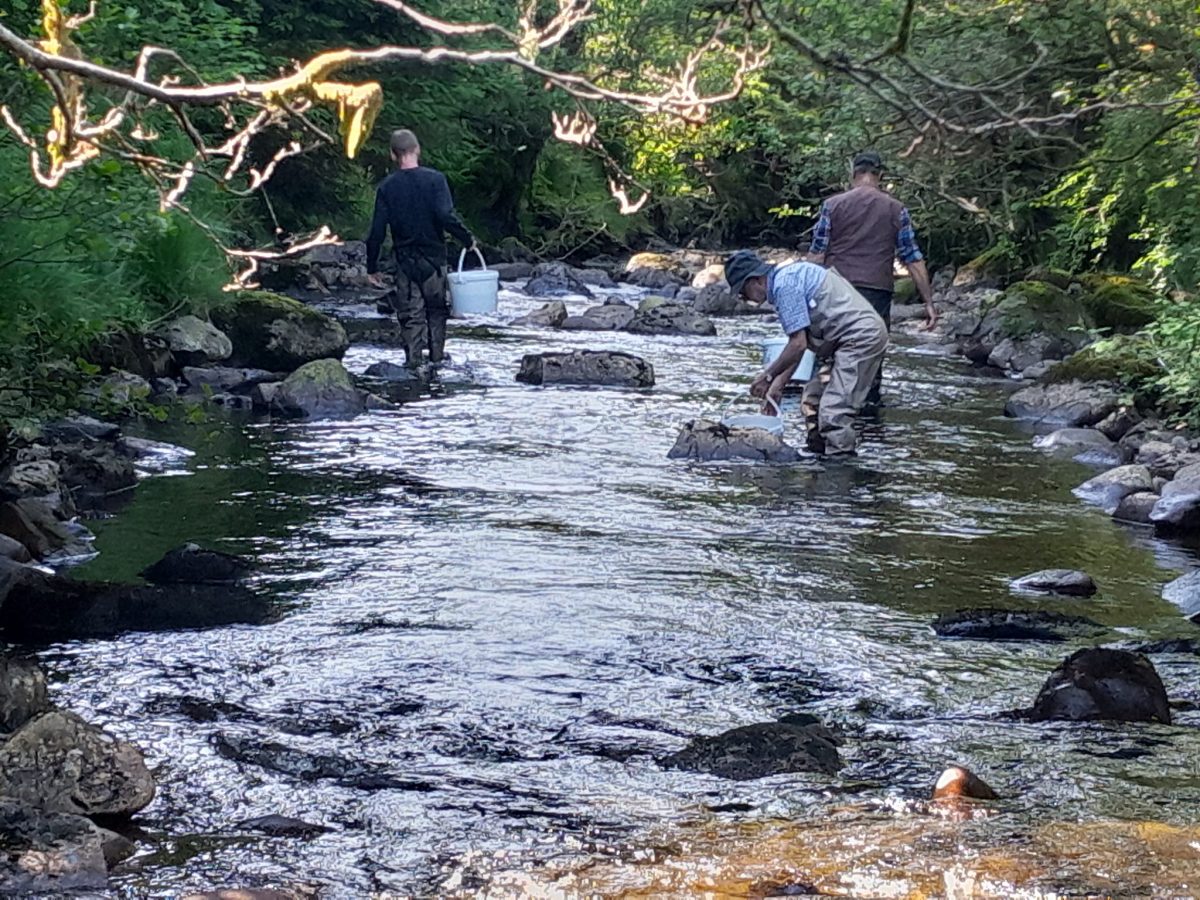 LLAIA Visit to the Cree Hatchery and Trust, 4th Feb. 2024 – Loch Lomond ...